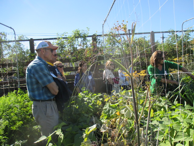 The Chicago Farmers - Photo Gallery